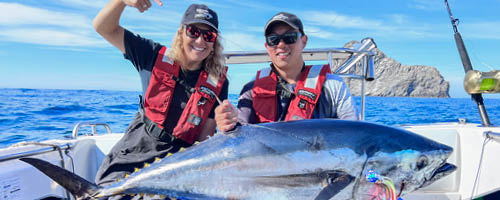 Blue Cod - Species Guide